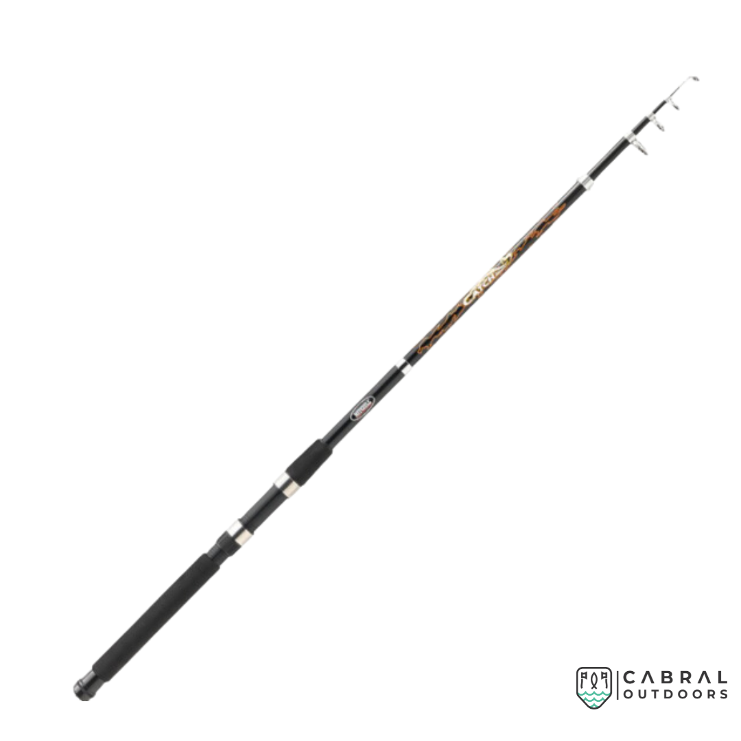 Mitchell Catch 8ft-9ft Telescopic Rod – Cabral Outdoors